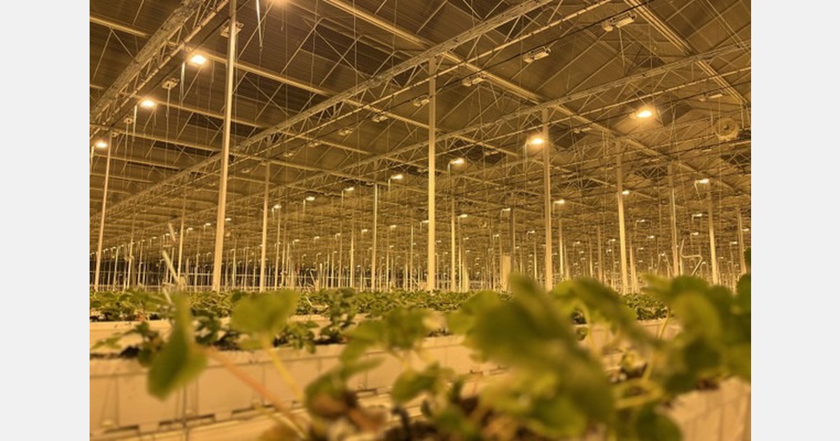 Atrium Agri's direction: investing in innovation and entering new markets