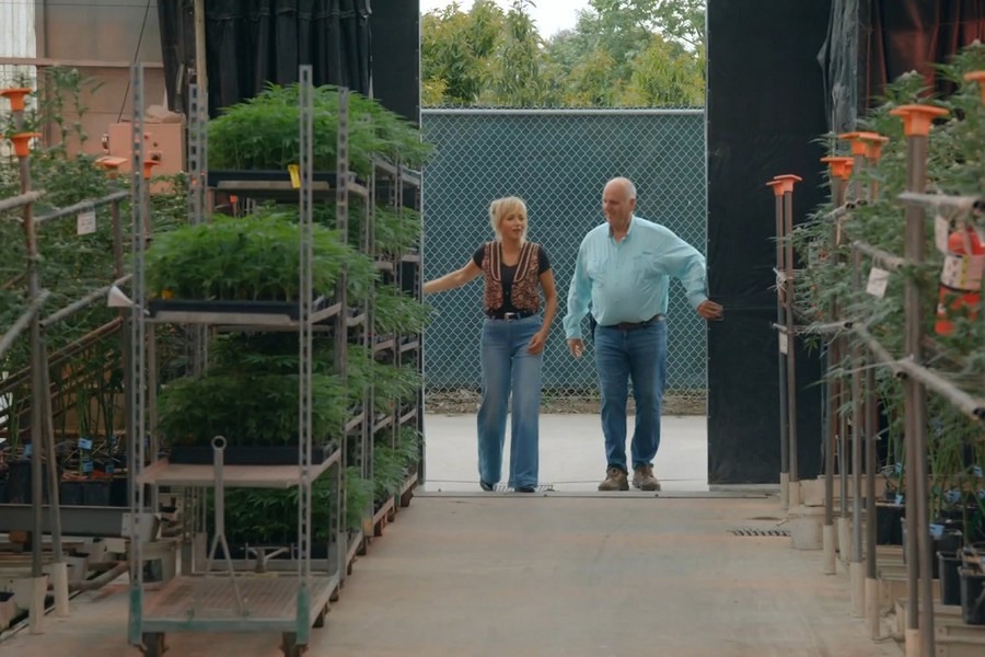 Dutch grower in California shifts from floriculture into cannabis