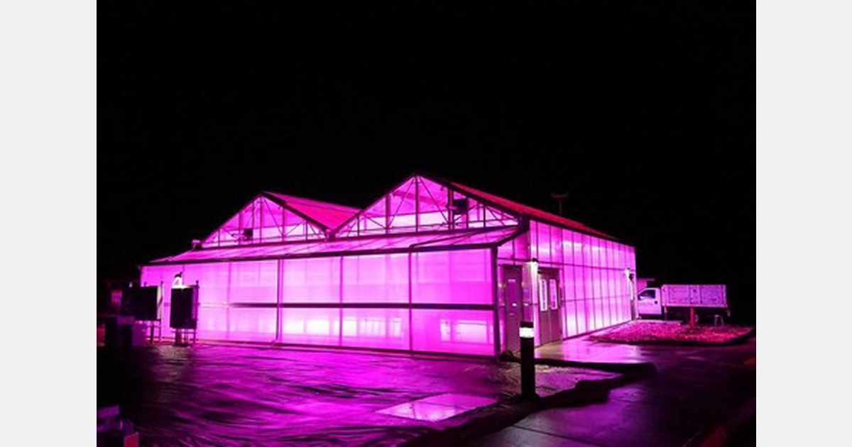 Australia: Enevis enters protected cropping market with LumiGrow smart ...