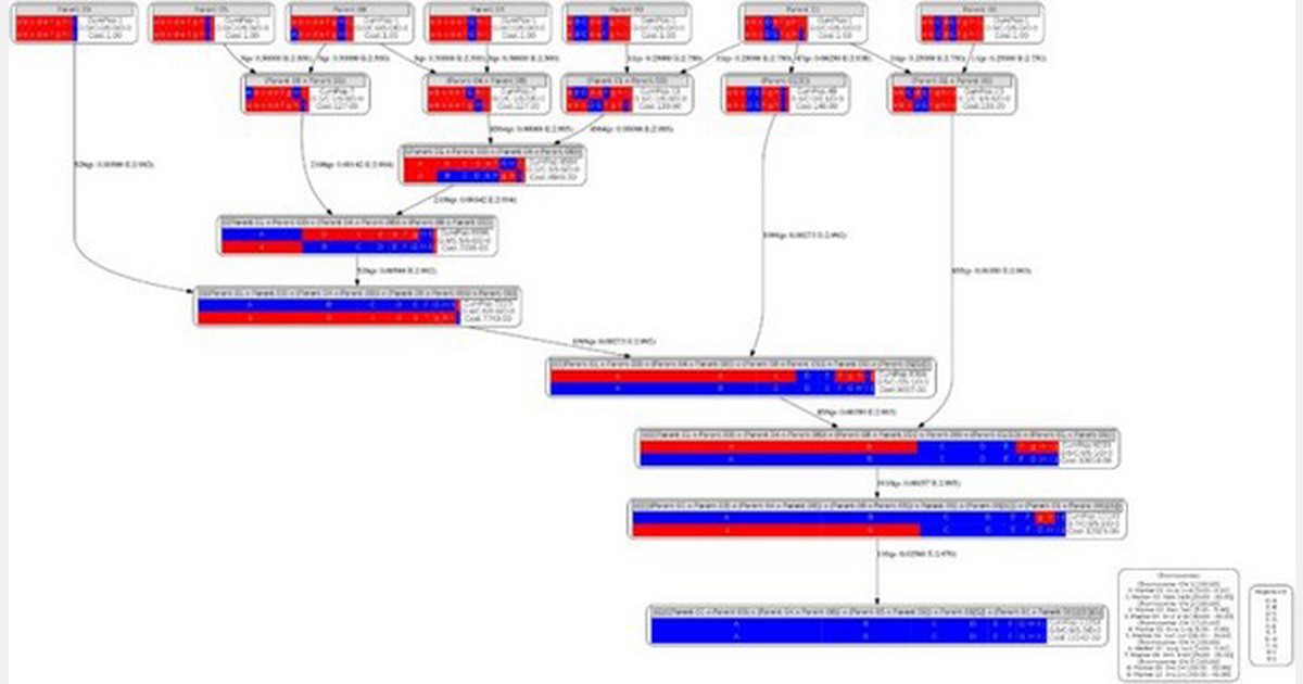Phenome Networks integrates breeding optimizer in software package