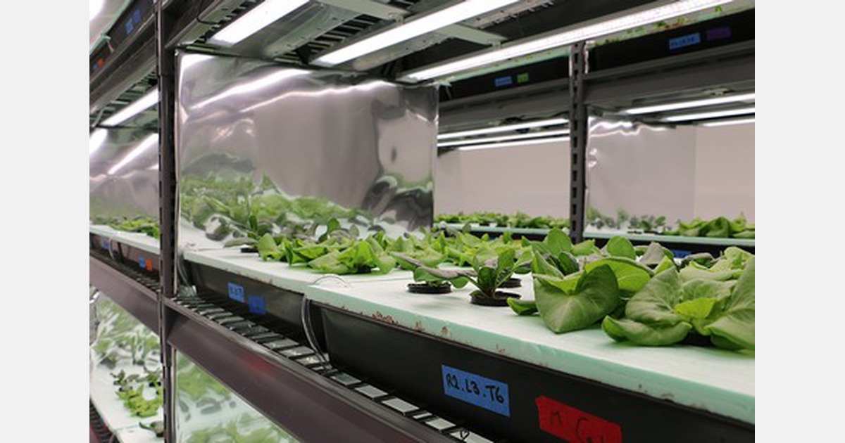 CAES partners with Agrify to grow vertical farming efforts