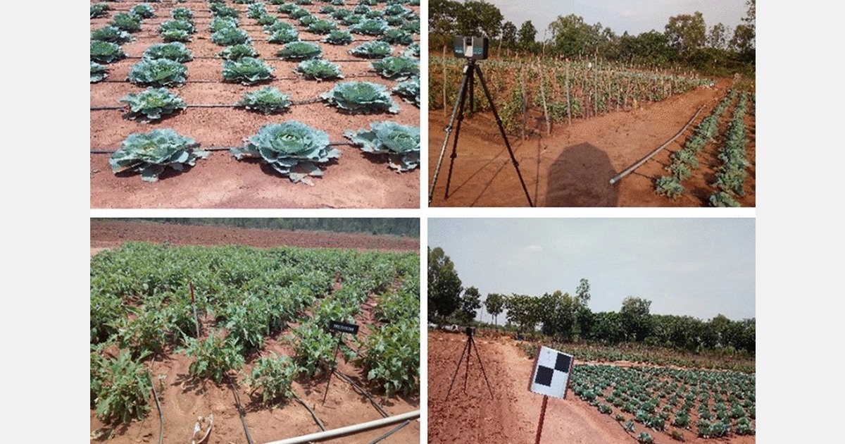 Predict plant structural parameters effectively with hybrid deep learning