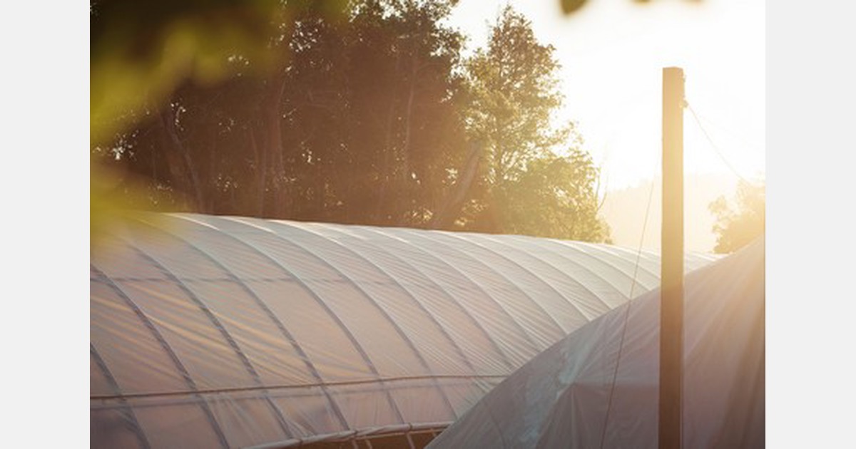 CAN (BC): Moratorium sought on cannabis greenhouse production on ...