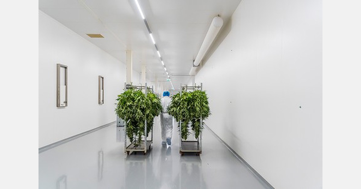 The importance of standardization