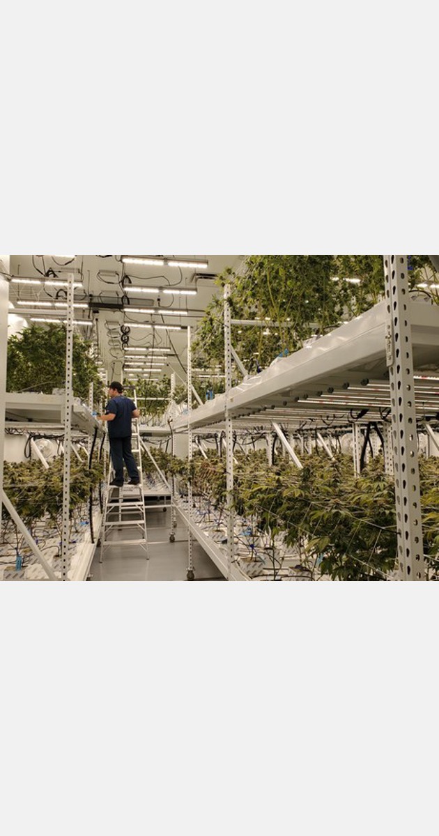 "GMP guidelines are a key driver to design the facility"