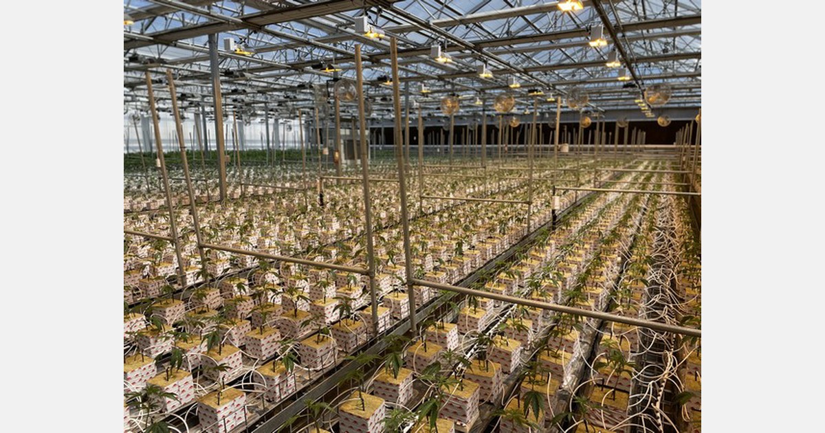 RedRock block introduces new line of premium-grade stonewool grow ...