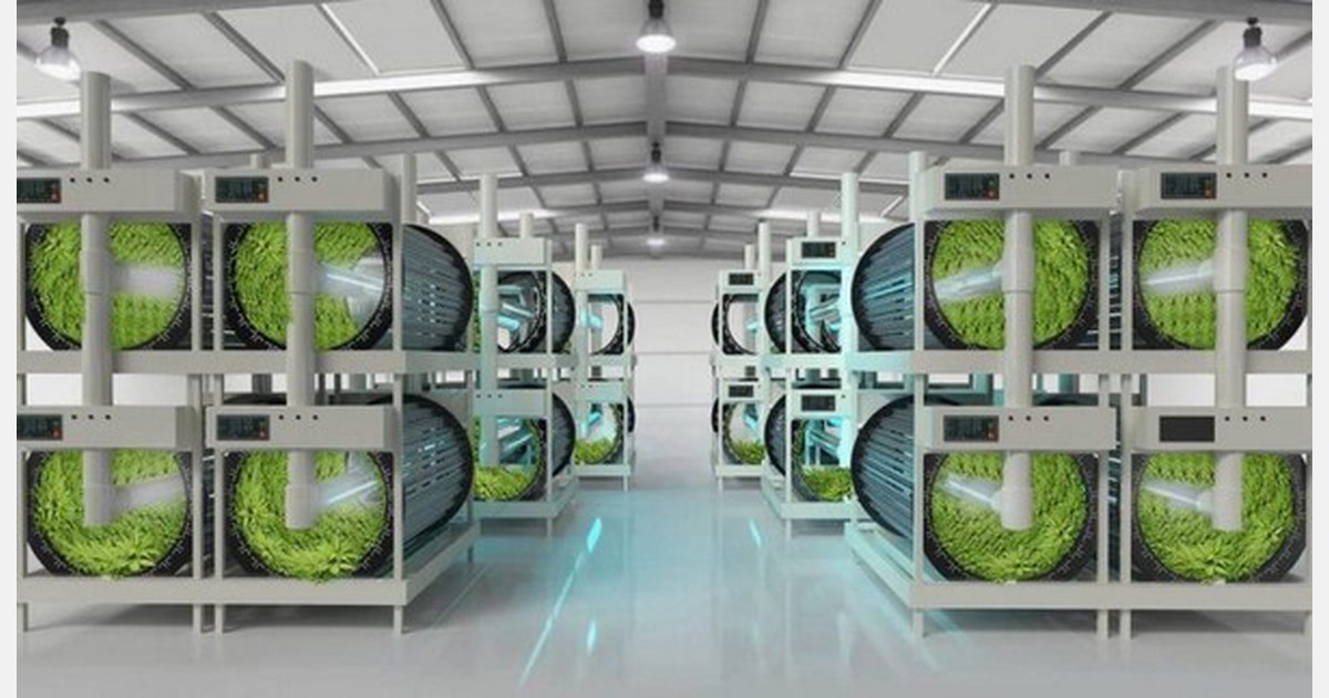 Cannabis vertical farming project to come to Thailand