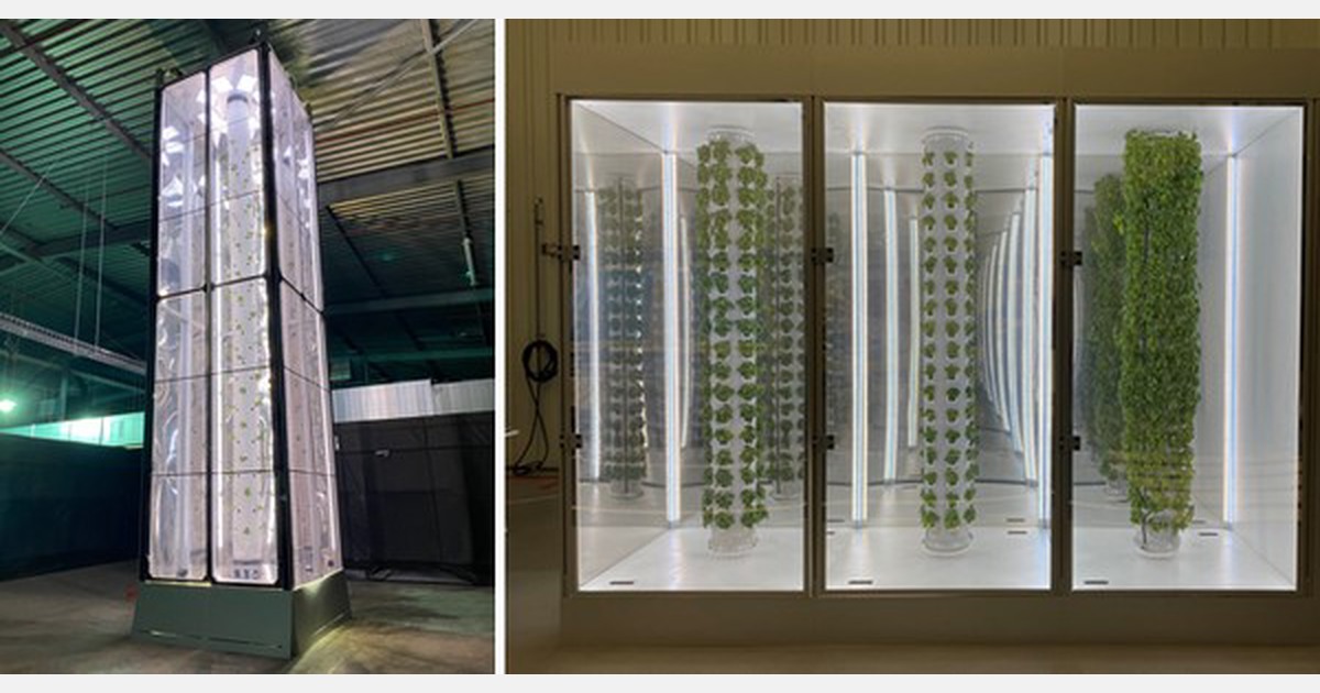 "Lower production prices by textile-based vertical farming and fogponics"
