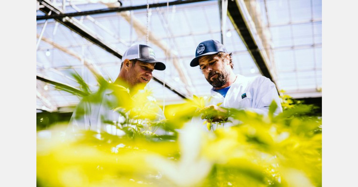 Yelena Katchko appointed to board of directors of Glass House Brands