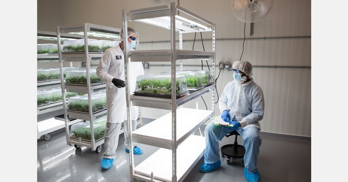 Top tips to design a clone room