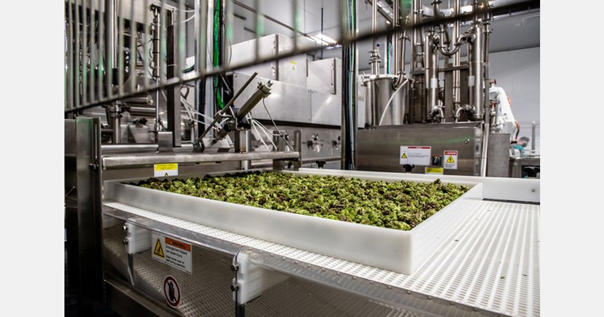 CAN: Technology Evaluation Agreement signed for grower to use REV ...