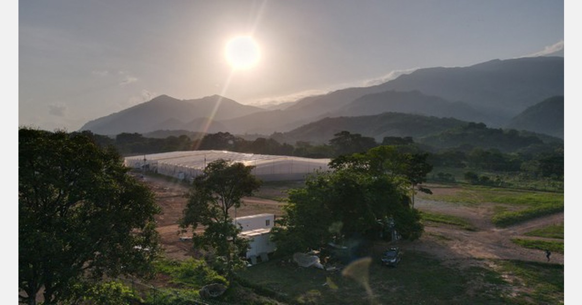 Colombia: “Growing on the equator means we use less energy and are ...