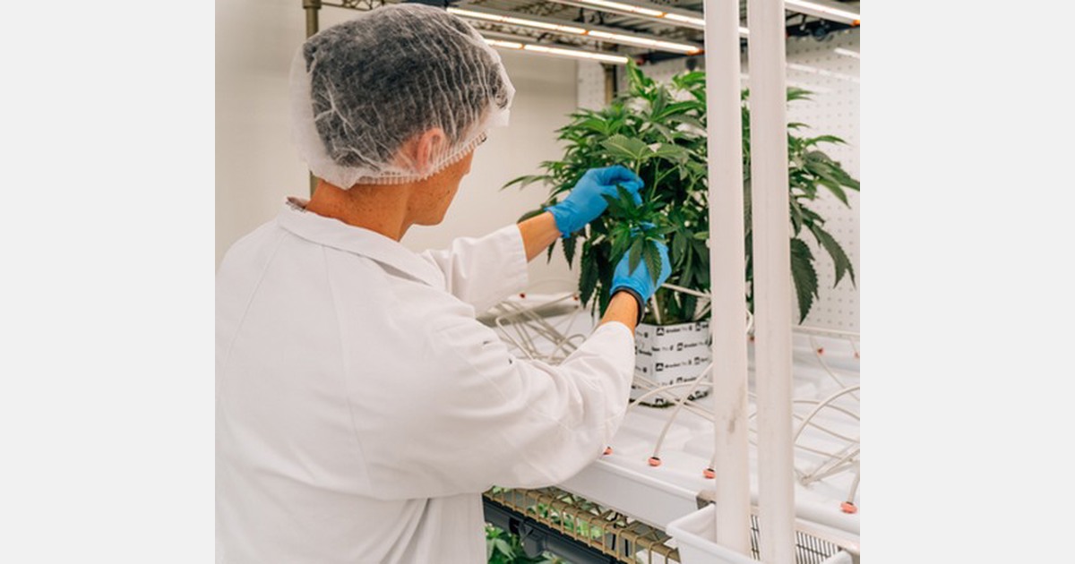 "We're the first in NZ to be fully GMP certified"