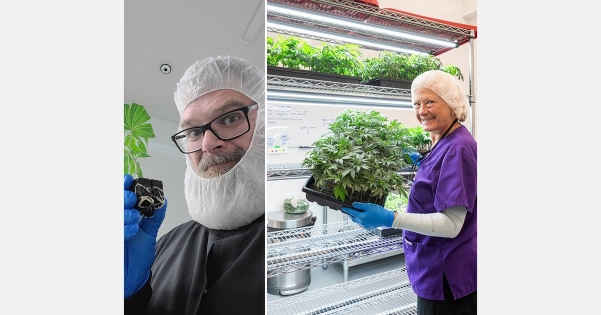 “Getting stable and clean cannabis genetics is still a challenge”