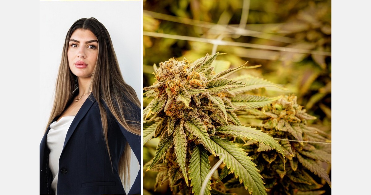 Exploring the US Virgin Islands cannabis license application process