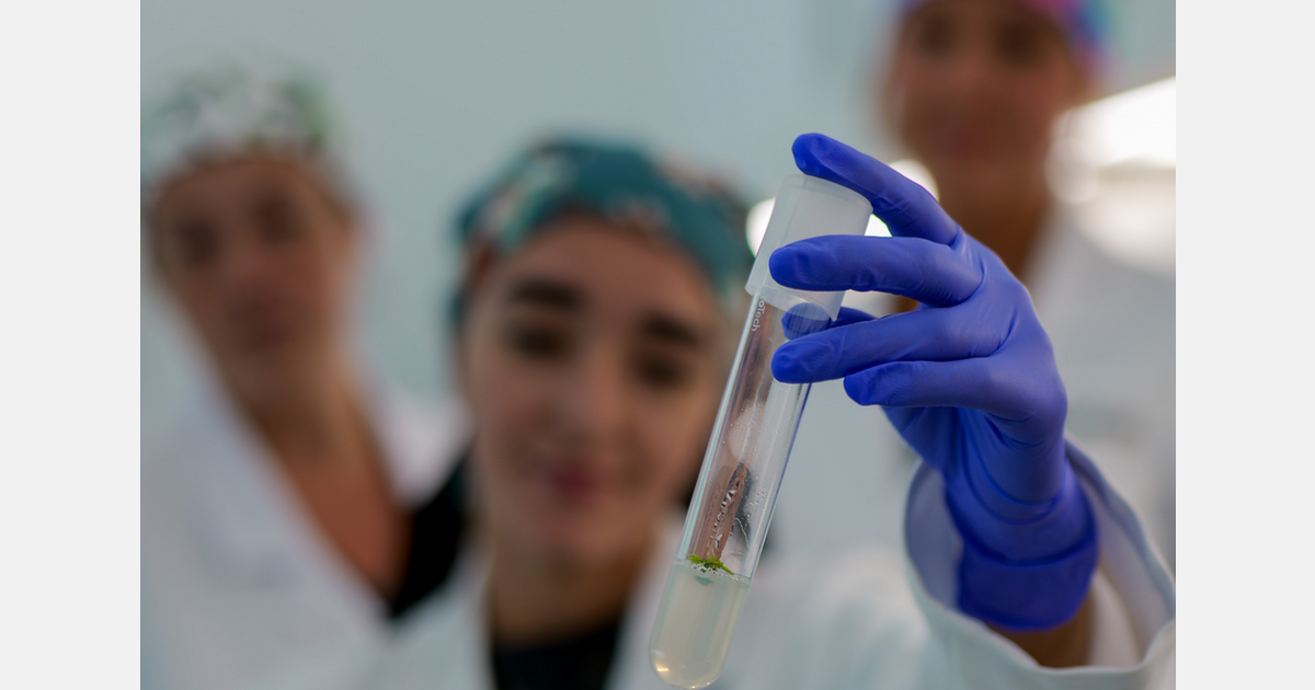 “The plan is to produce five million clones a month”