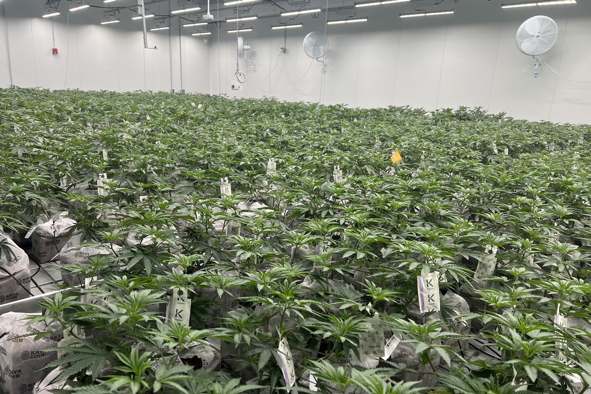 US (CT): Brix celebrates first anniversary with planned expansion