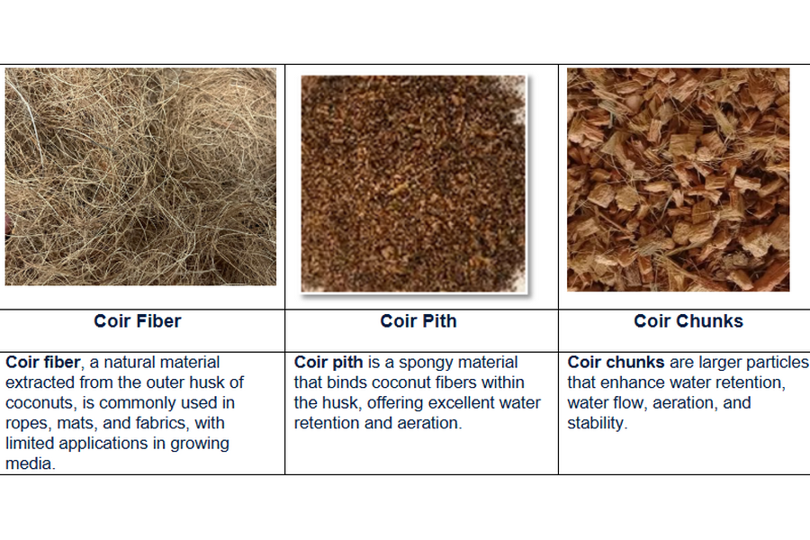 The impact of coir-based media on the growth of cannabis plants
