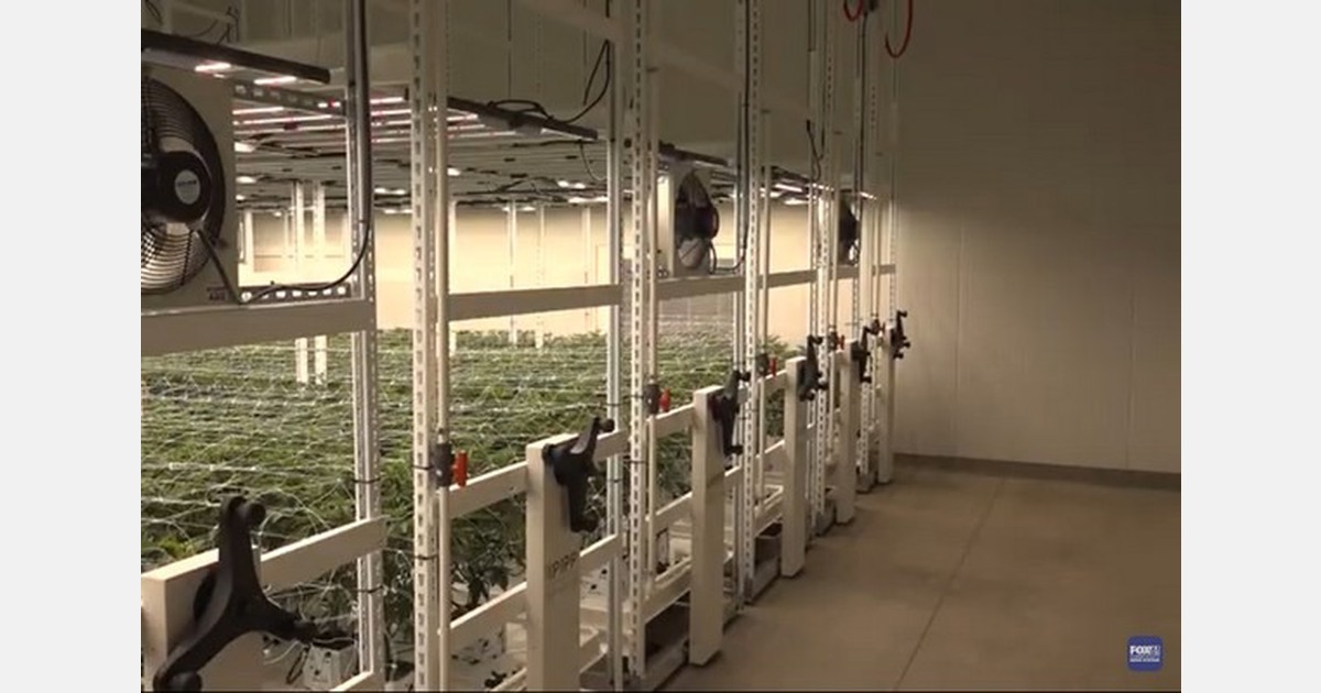 US (CT): A look inside a Bloomfield's social equity indoor facility