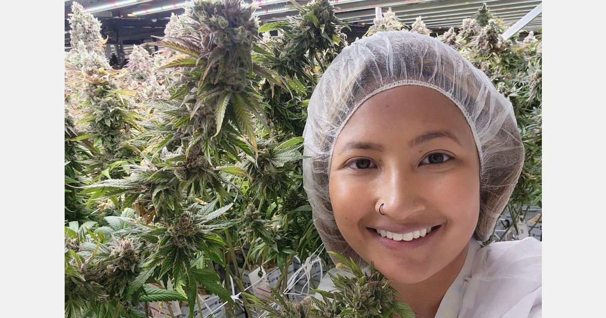 Expanding global access to clean cannabis genetics through an ...