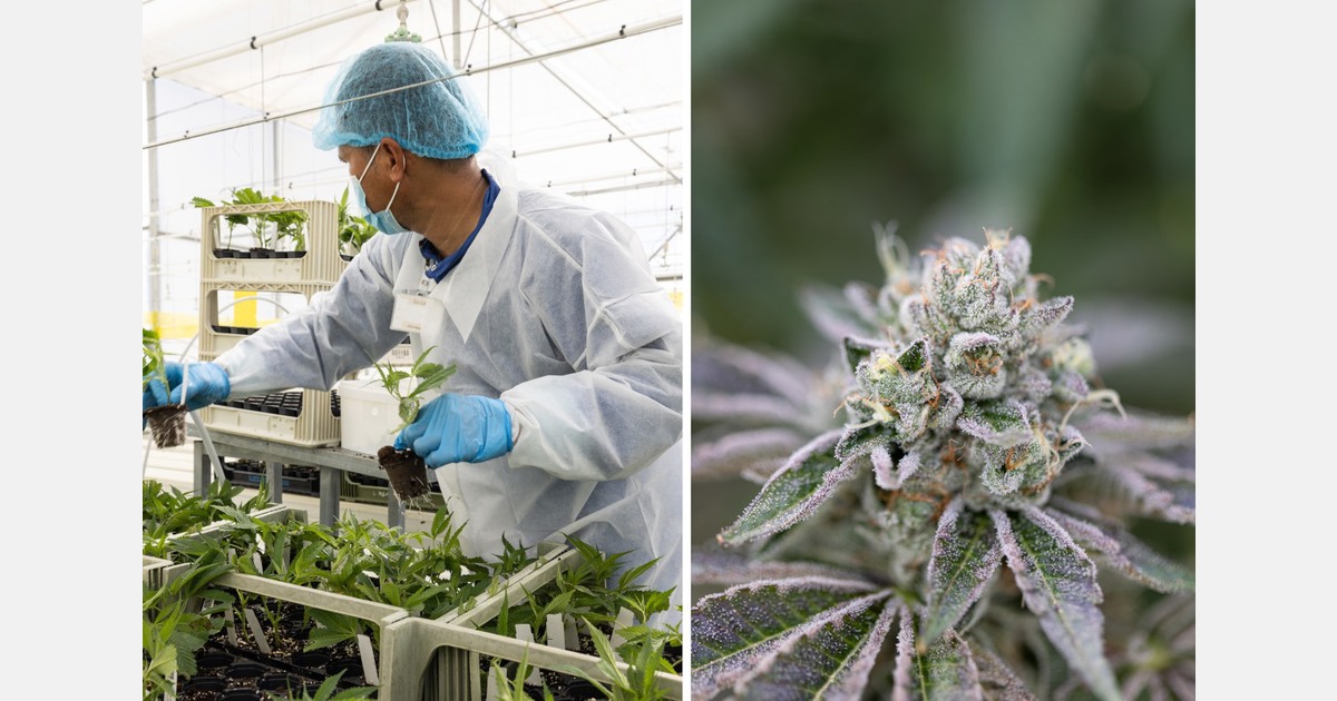 UK: Steady growth in patient numbers, yet one in two adults doesn’t ...