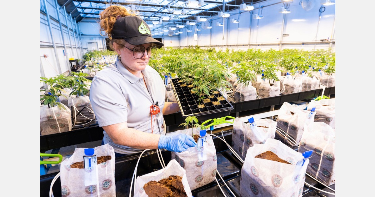 Pioneer Valley grower puts sustainability first with energy-efficient ...