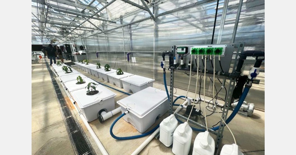 "Scaling up brings new challenges in post-harvest management and ...