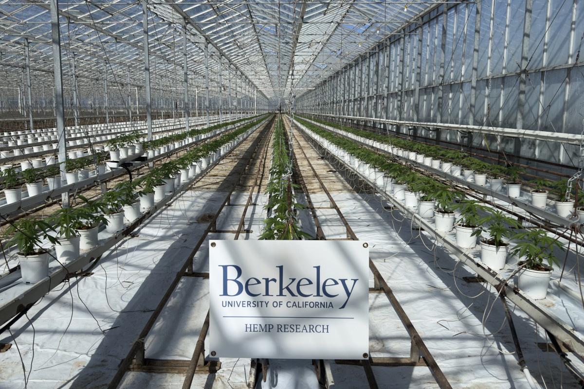 "Understanding how yields differ based on inputs and growing techniques ...