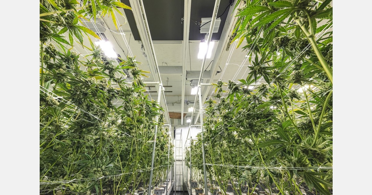 EMA publishes first revision of GACP guidelines