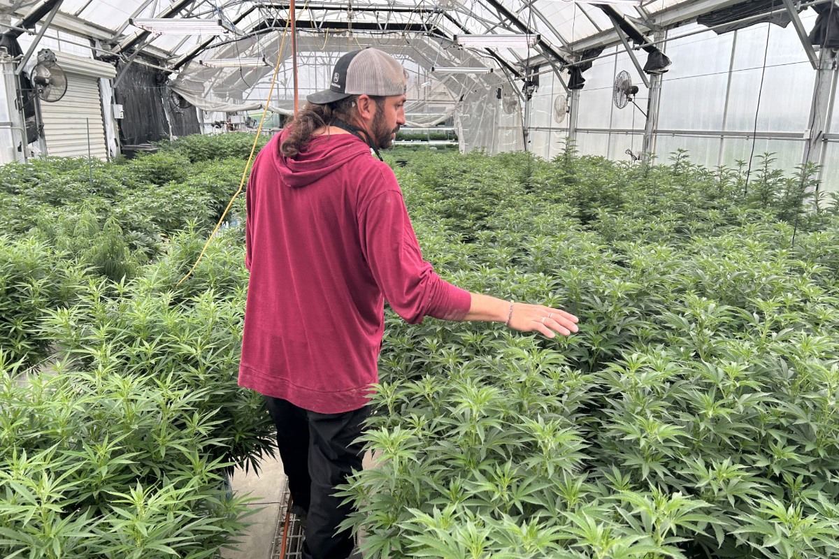 Boone Farms saves the season with open-top grow bags