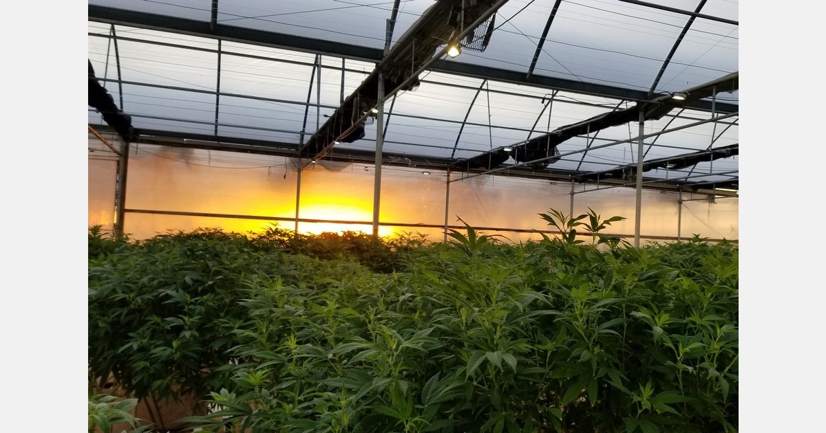 LEEF Brands announces that New York based extraction lab is now fully ...