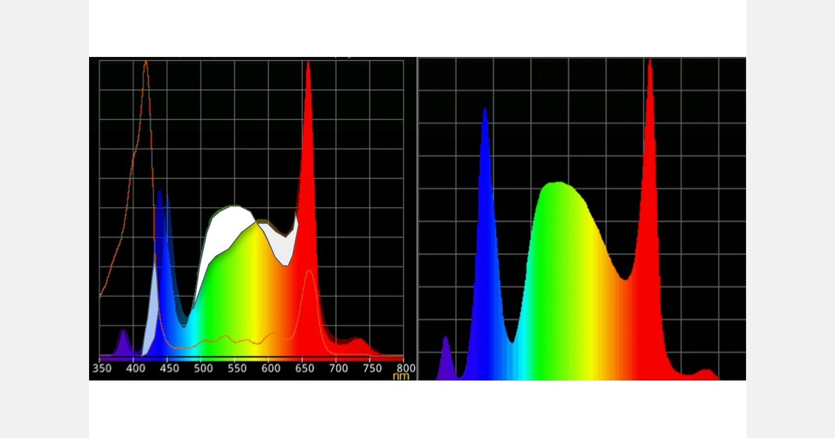 Steering cannabis morphology with light: photomorphogenesis and the ...