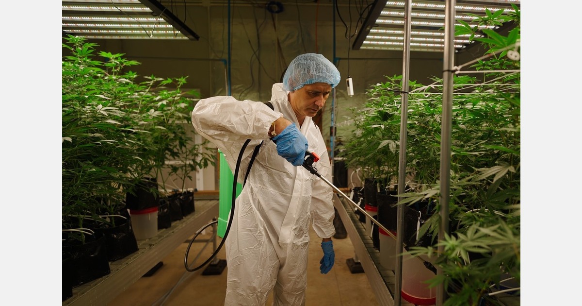 US (MN): Albert Lea cannabis license case arguments scheduled for March