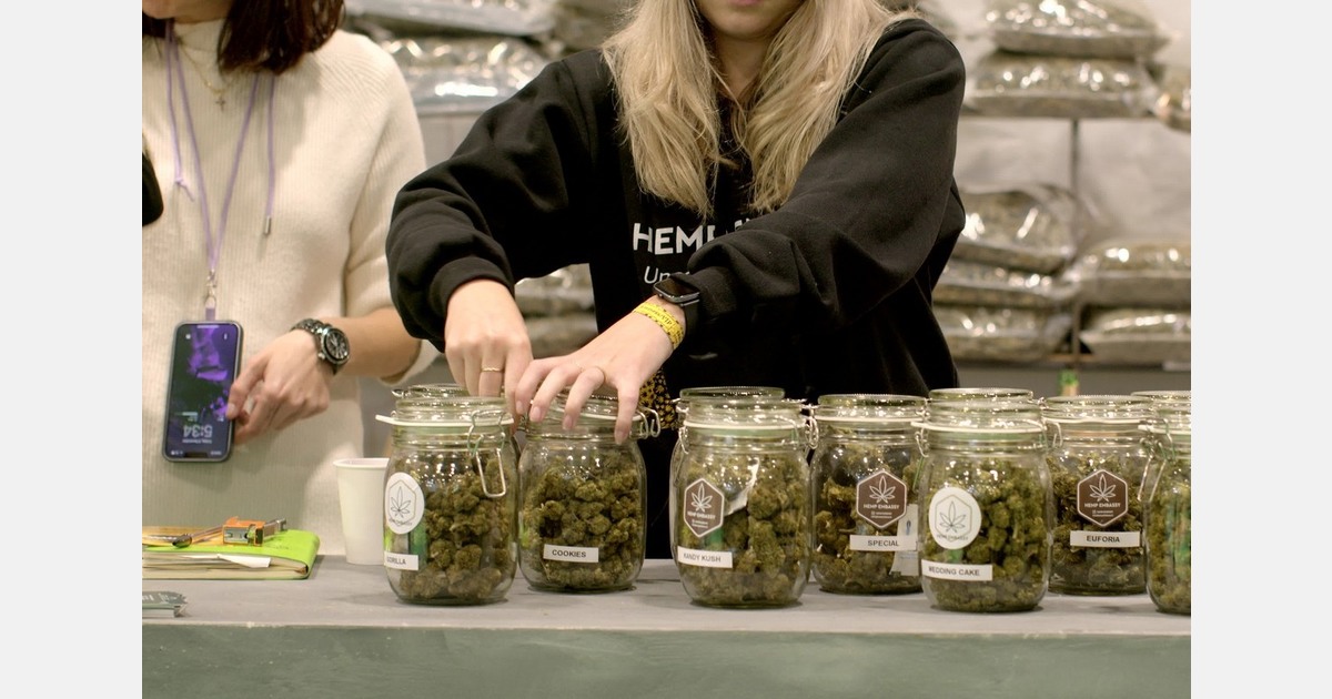 Germany: Plans to tighten MMJ laws draw industry ire