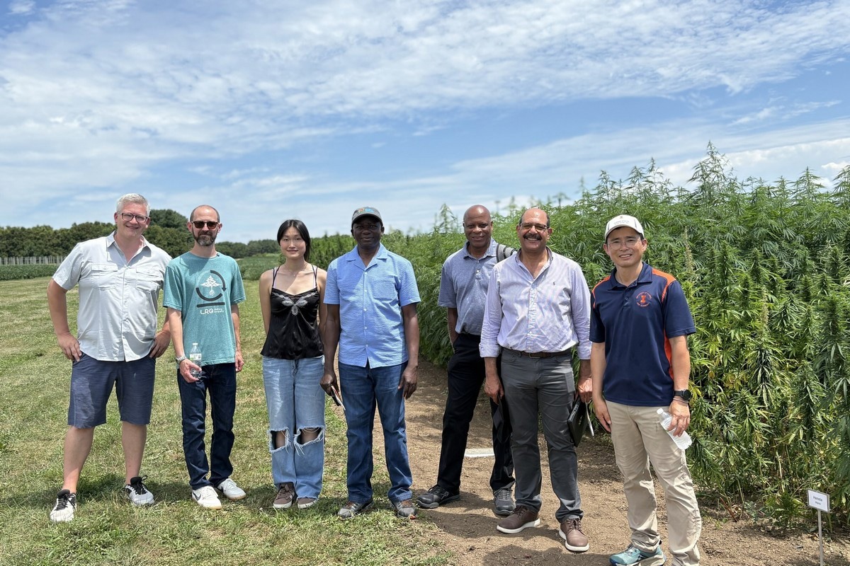 First U.S. hemp-biosolids trial tests breakthrough sustainable fertilizer