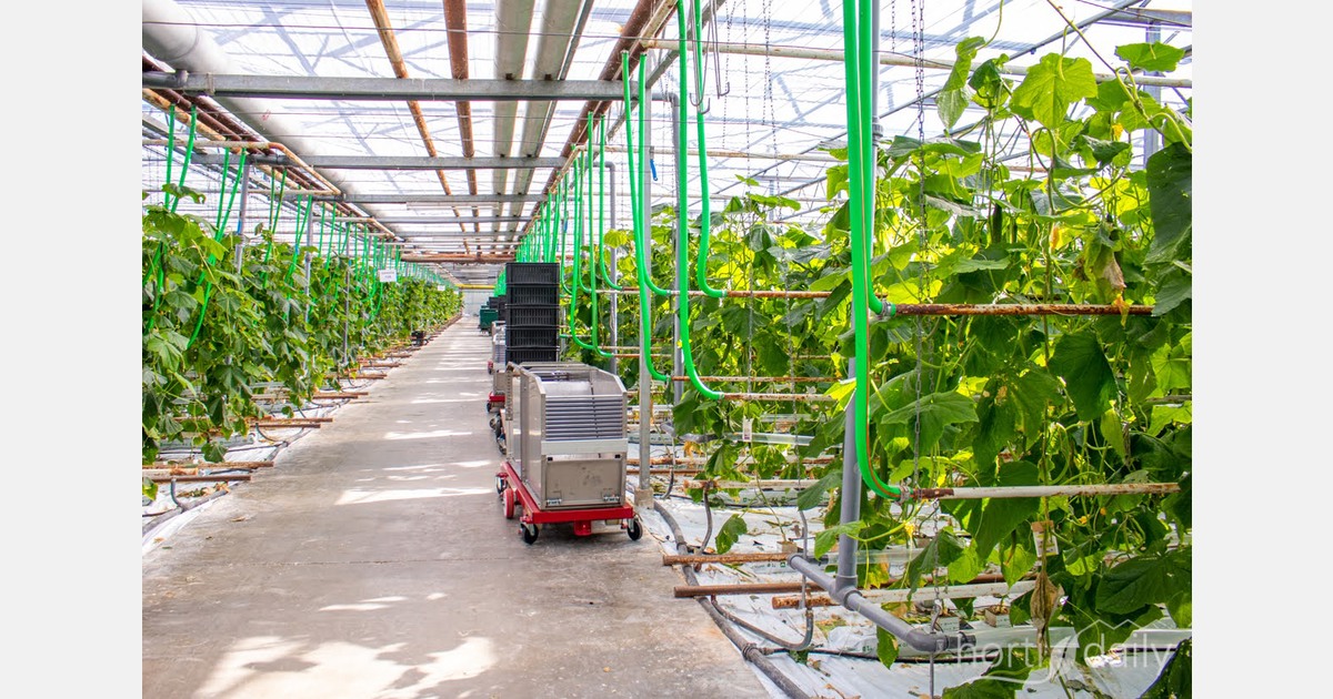 Quality Horticulture expands distribution platform into US