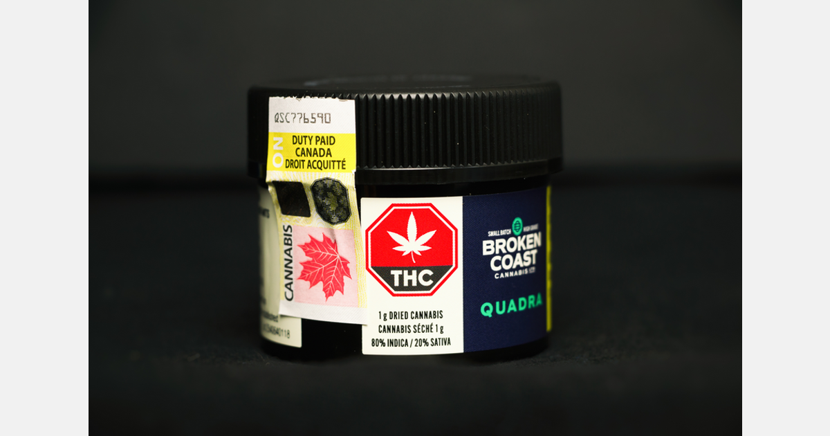 US (NY): OCM launches banking directory for growers