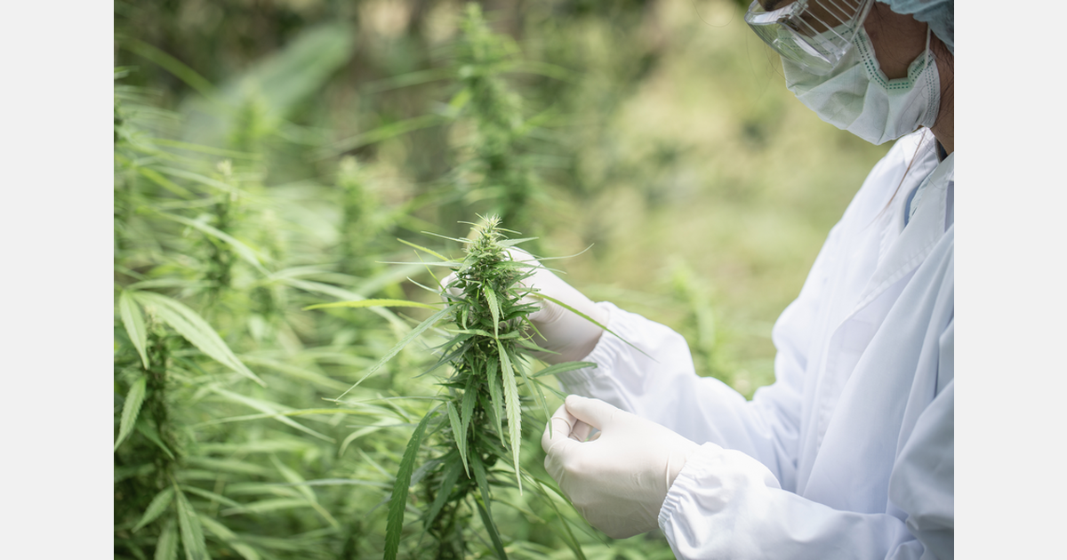 US (NJ): William Paterson University to host legalization roundtable