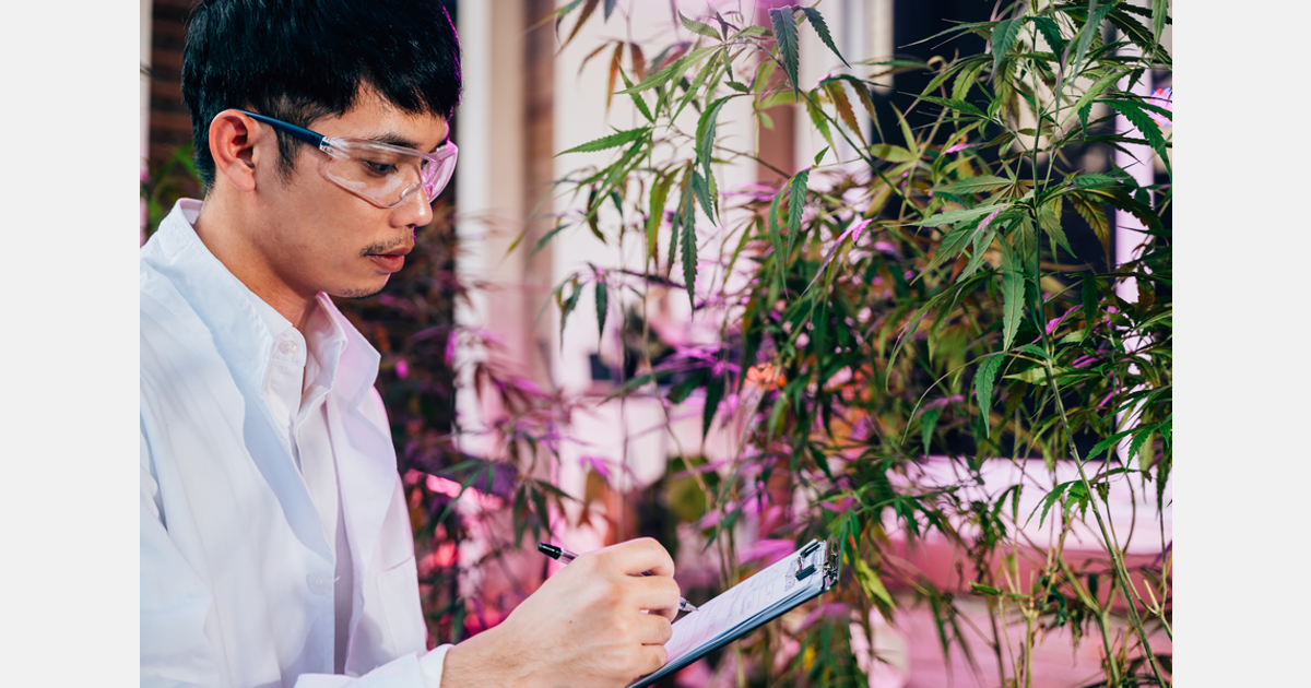 Morocco launches training program to boost legal production