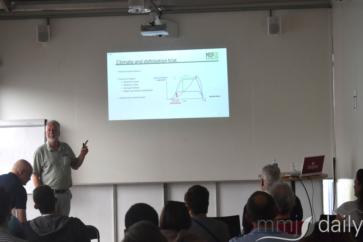 Two-day cannabis cultivation training in Portugal to focus on ...